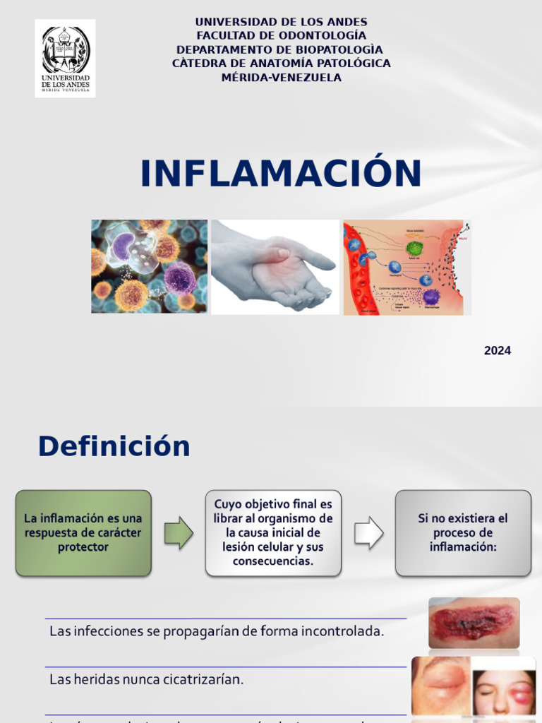 Inflamacion | PDF