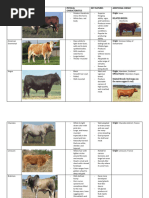 Official List of Breed Codes For Bovine: Beef Breeds | PDF | Livestock ...