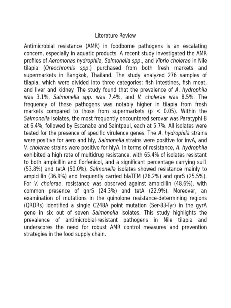 Literature Review Example | PDF Literature Review Example | PDF