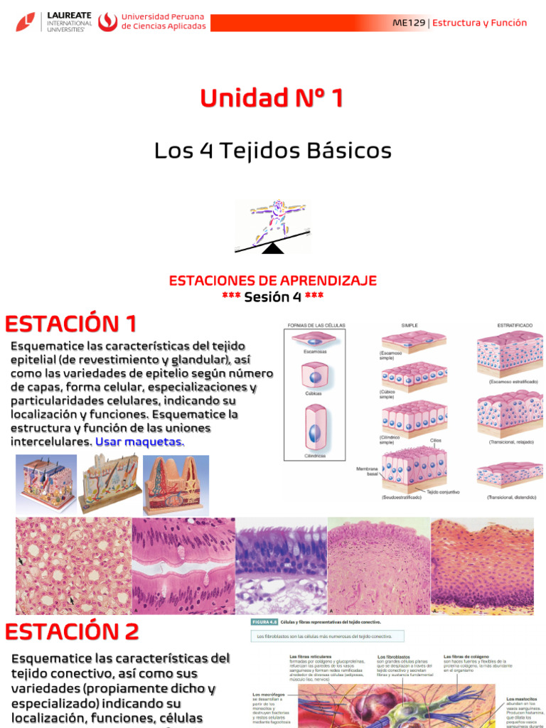 ME129 - Sesión 4 - Estaciones de Aprendizaje | PDF