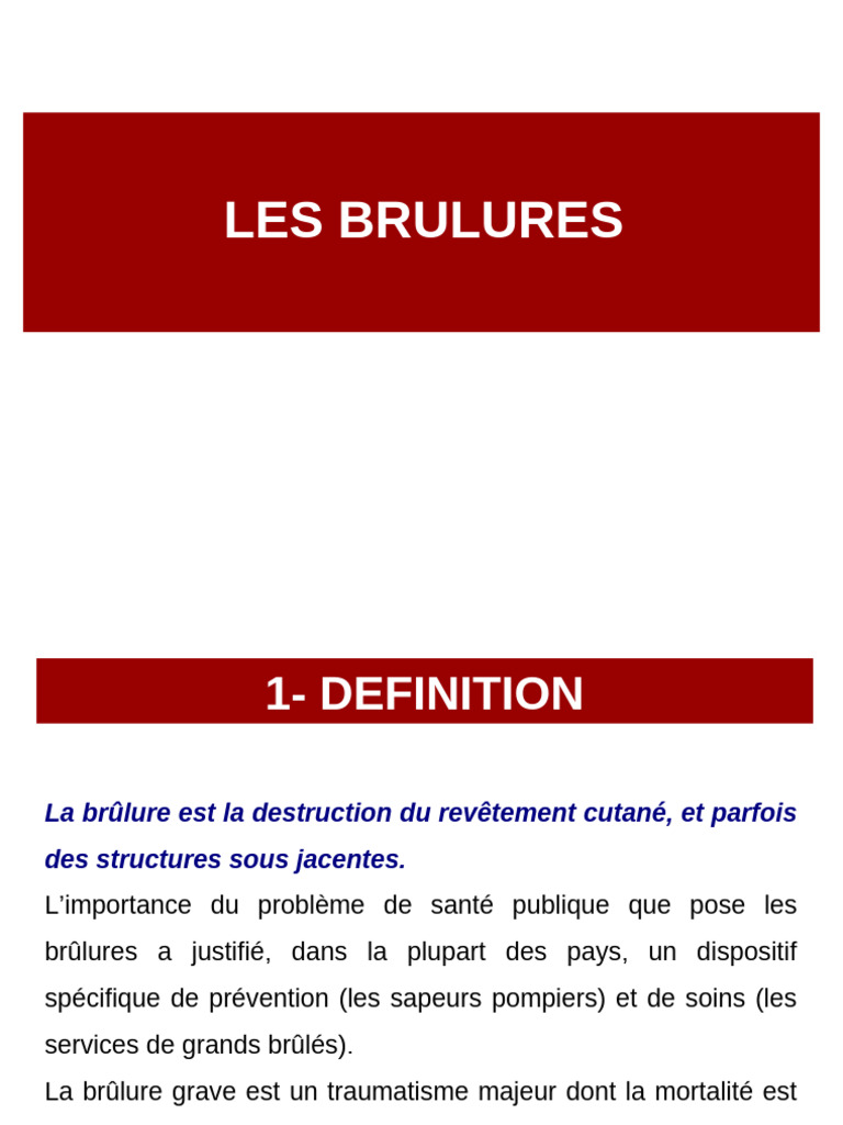 Les Brulures | PDF