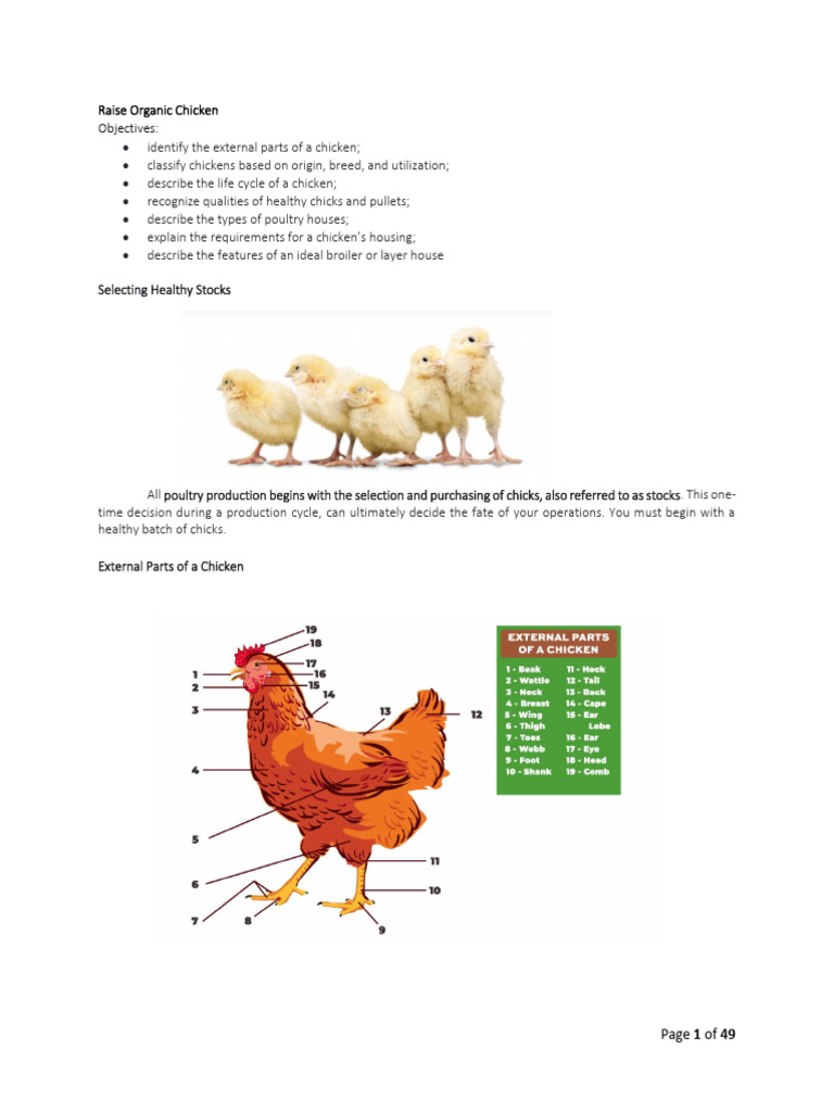 Organic Chicken Production Trainees | PDF