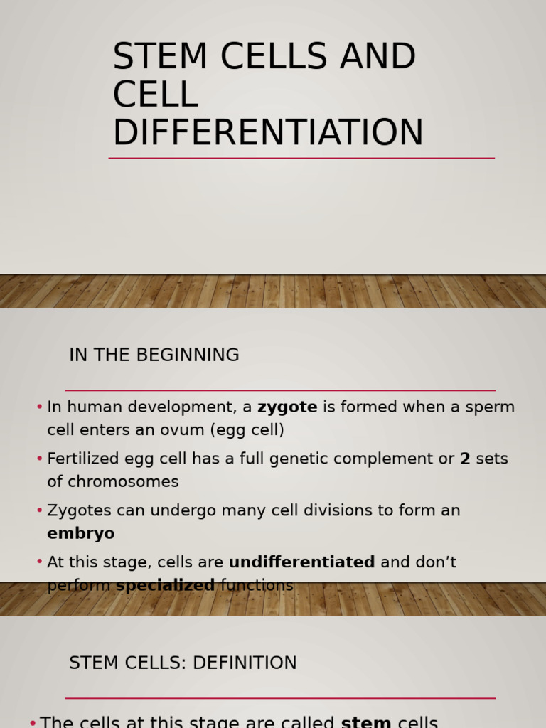 Stem Cells and Cell Differentiation | PDF