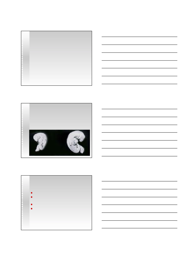 Pharyn 3 P | PDF
