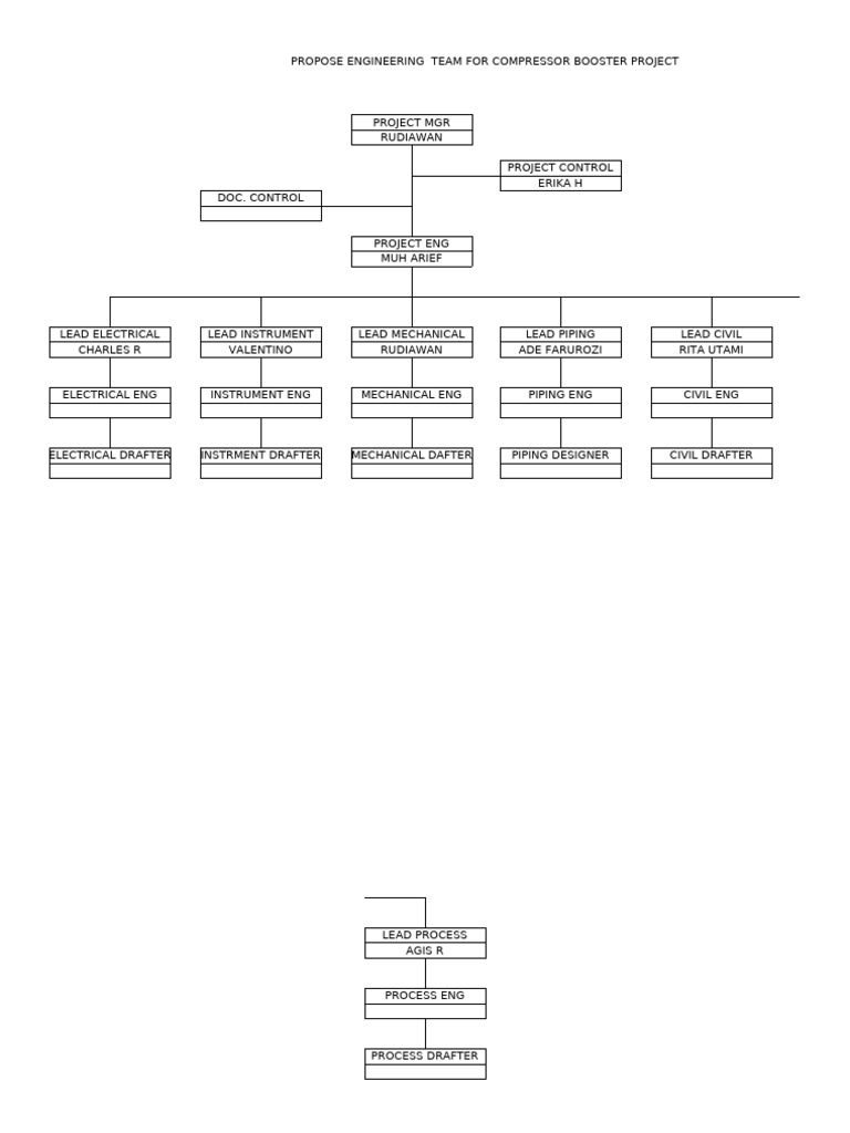Struktur Organisasi Project | PDF