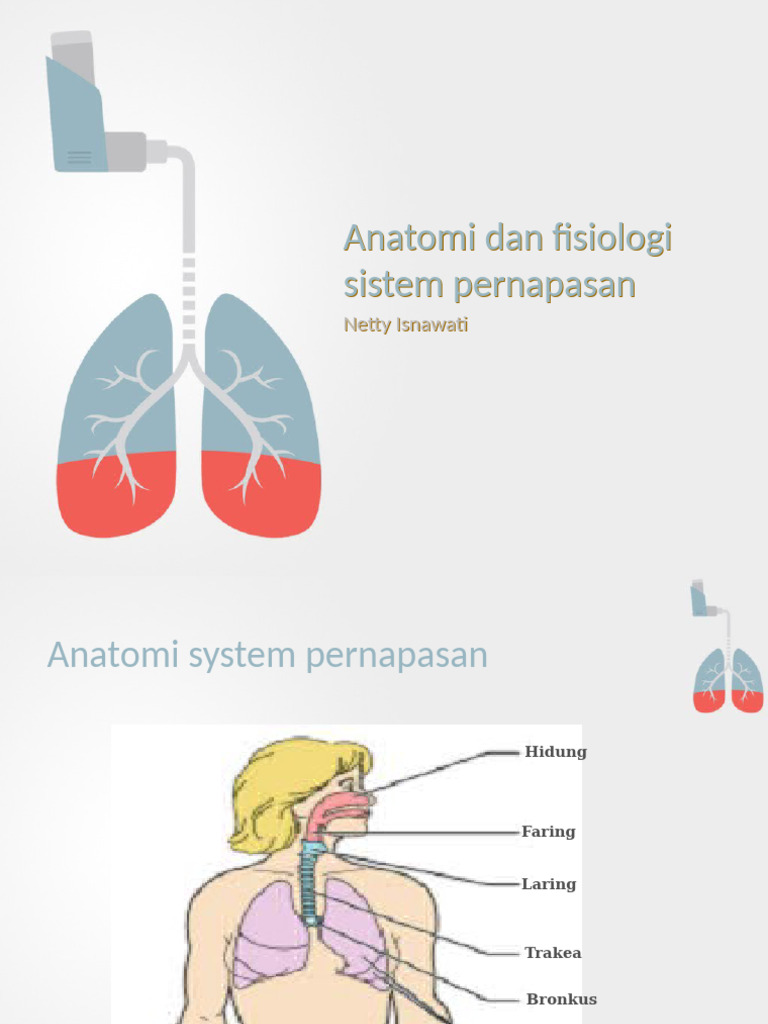 Anatomi Dan Fisiologi Pernapasan | PDF