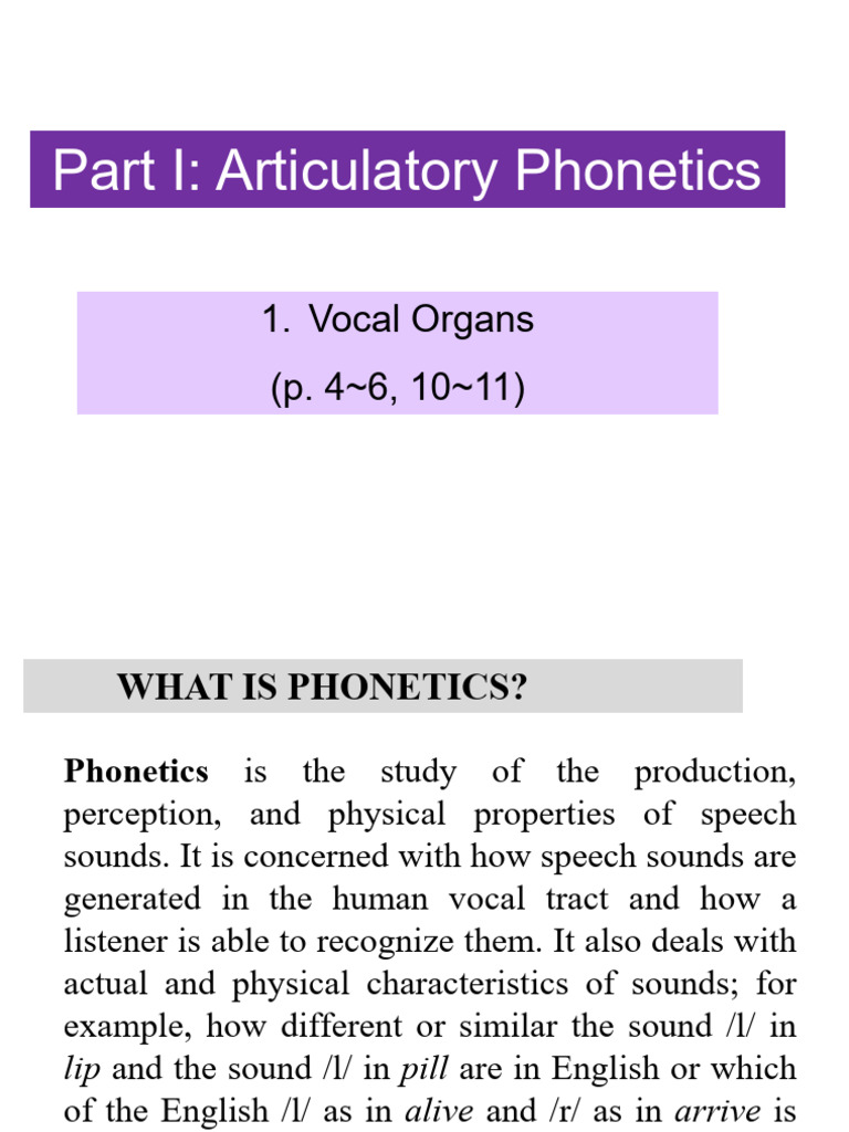Part I: Articulatory Phonetics: 1. Vocal Organs (P. 4 6, 10 11) | PDF