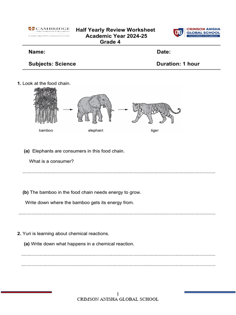 Review Worksheet G4 | PDF