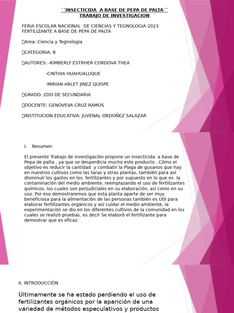 Proyecto Cyt | PDF