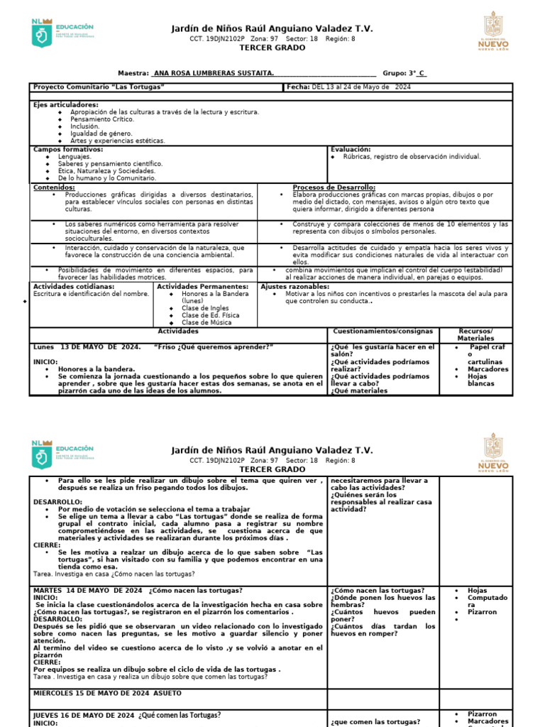 PROYECTO LAS TORTUGAS Nuev | PDF