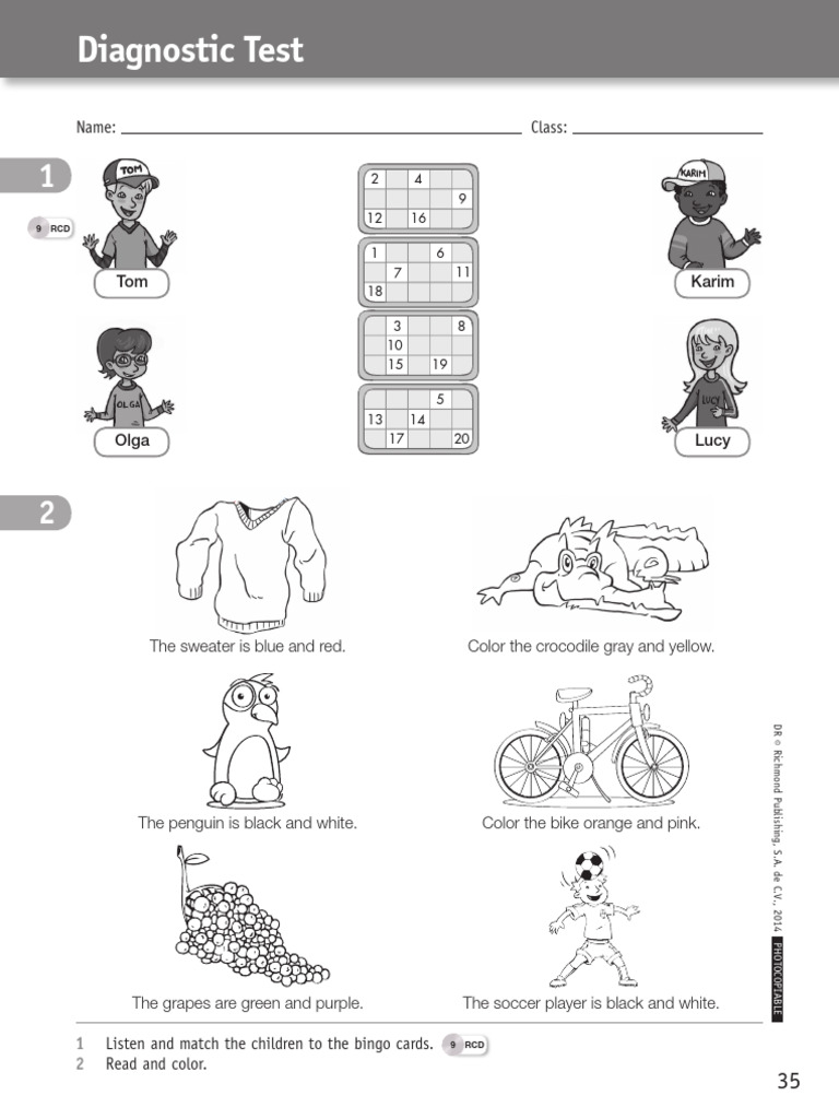 Test B3 - Diagnostic Test | PDF