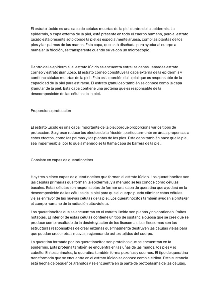 Función del Estrato Lúcido en la Piel | PDF | Piel | Hogar, jardinería ...