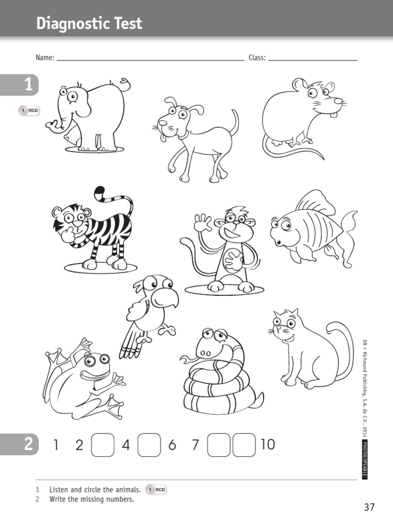 Test - Diagnostic Test | PDF