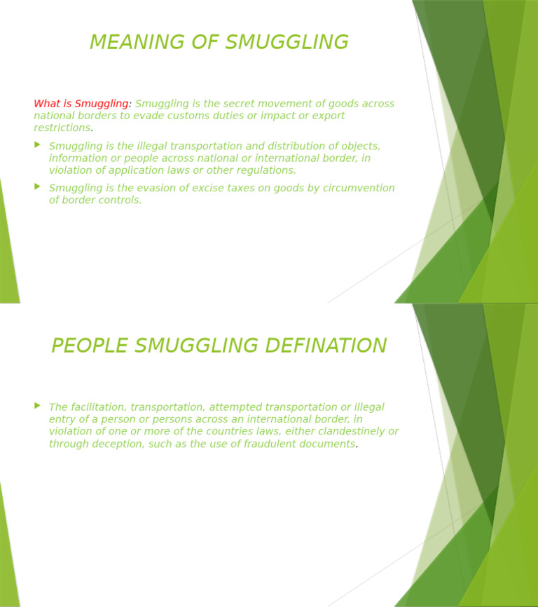 Smuggling Meaning | PDF