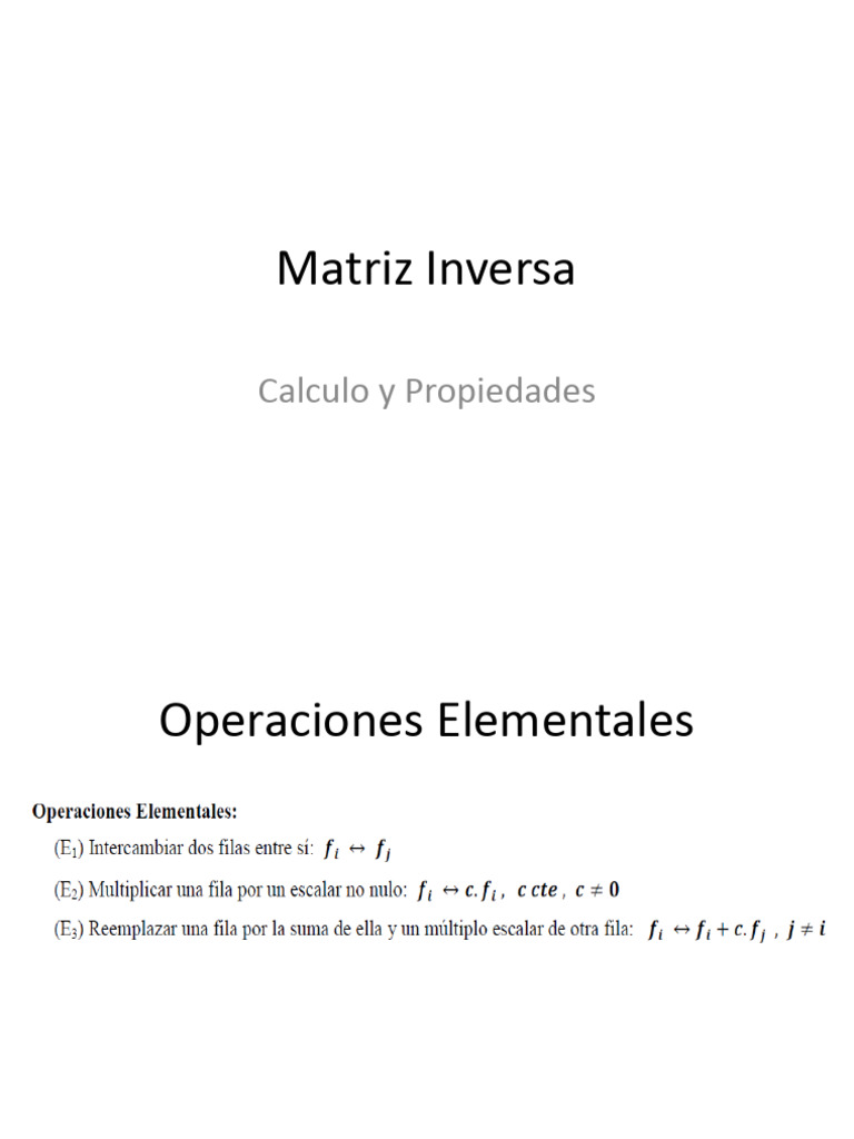 Matriz Inversa | PDF