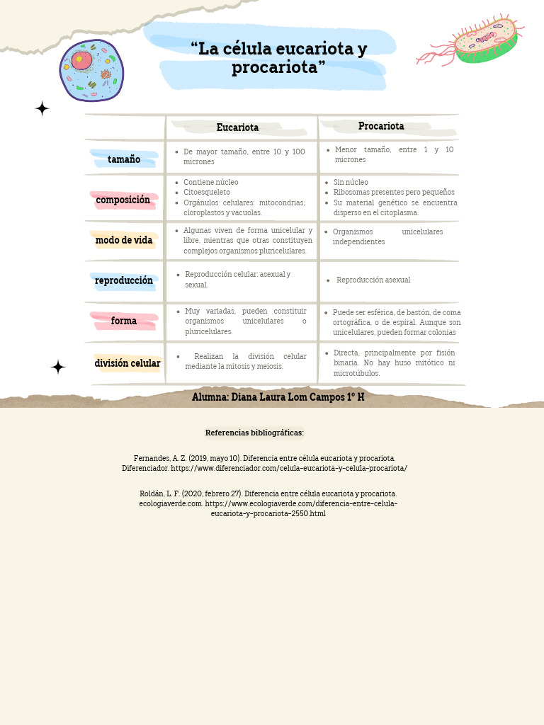 Cuadro Comparativo-célula Eucariota y Procariota | PDF