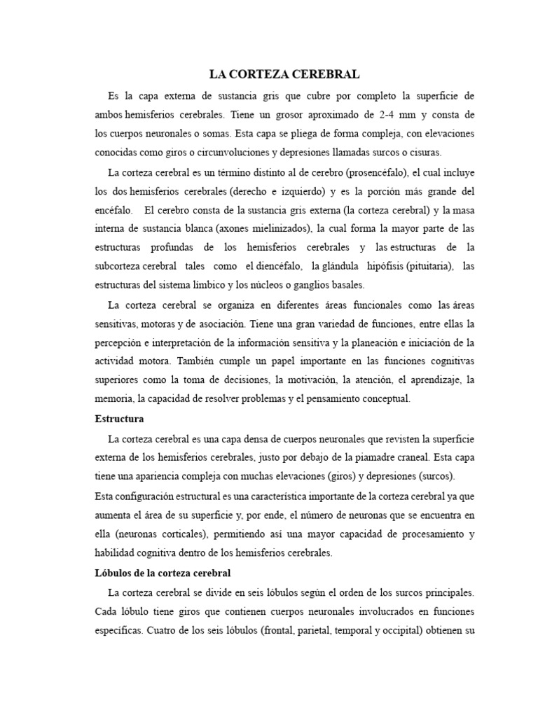 La Corteza Cerebral | PDF