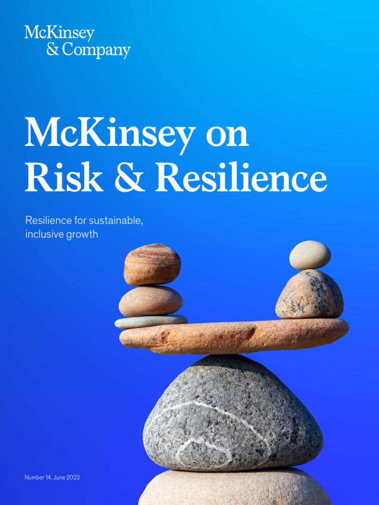 Mckinsey On Risk and Resilience Issue 14 | PDF