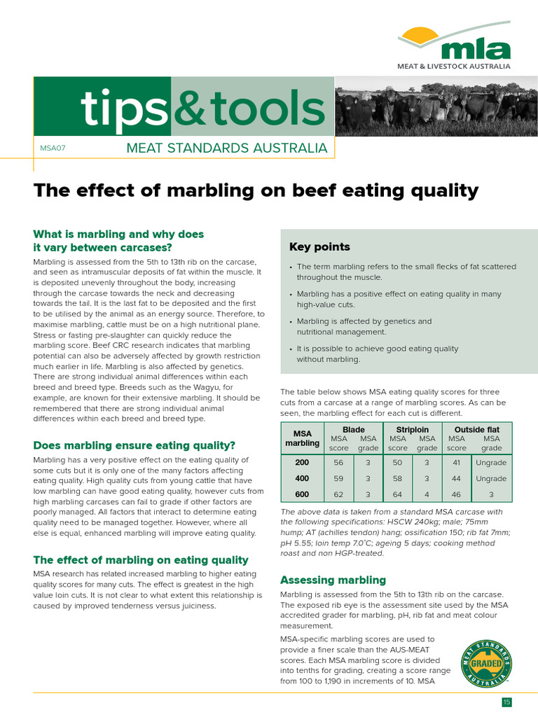 Effect of Marbling On Beef | PDF