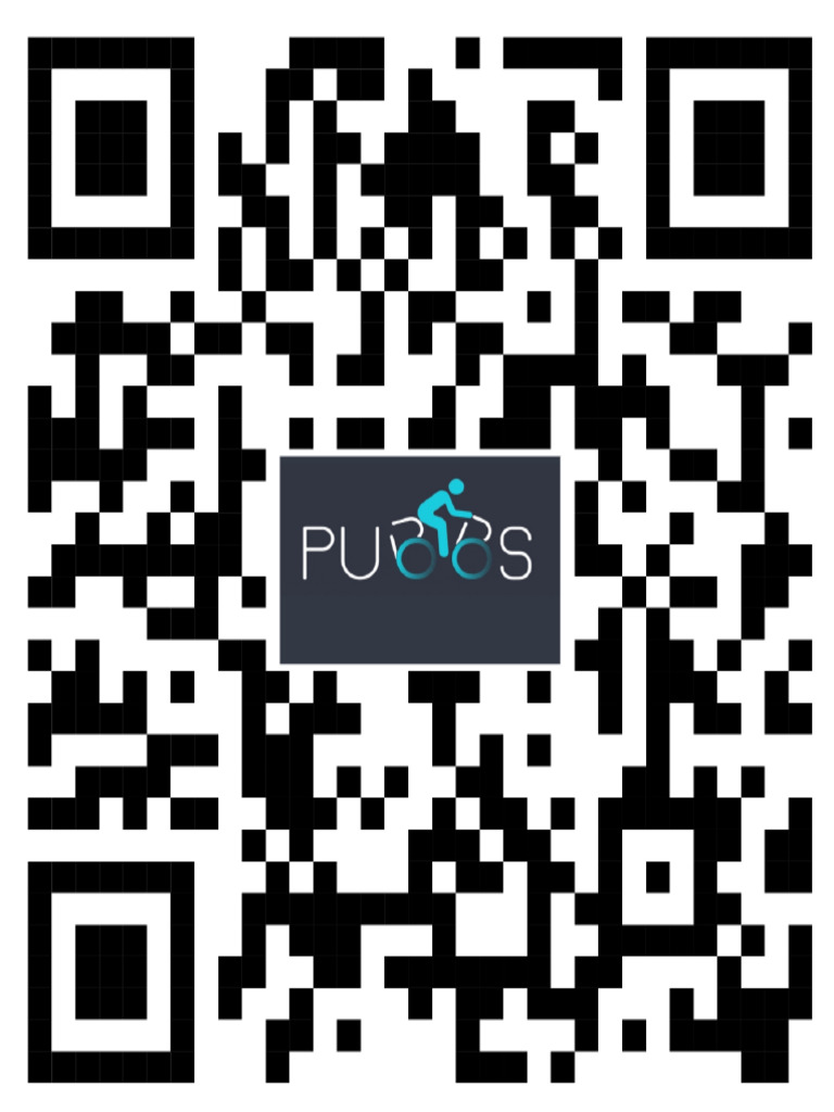 PUBBS Feedback | PDF