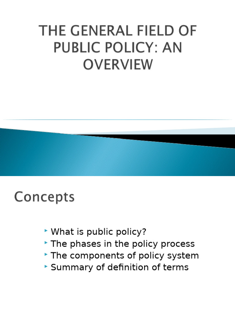 Understanding Public Policy Framework | PDF | Policy | Politics