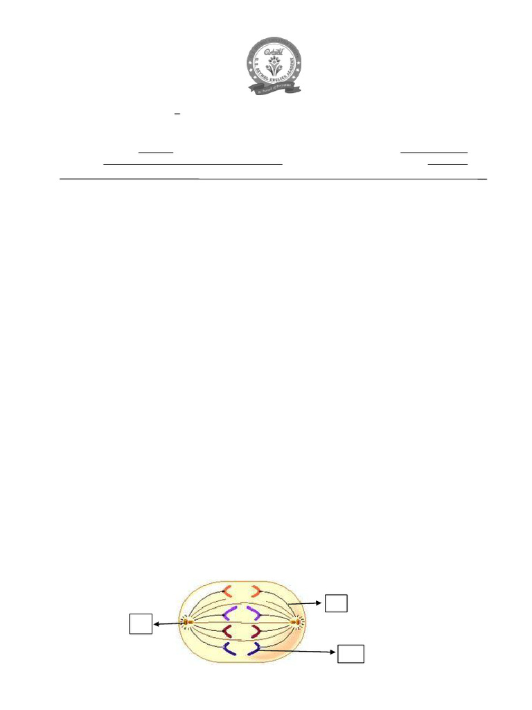 Biology Std X Ch 2 Worksheet | PDF