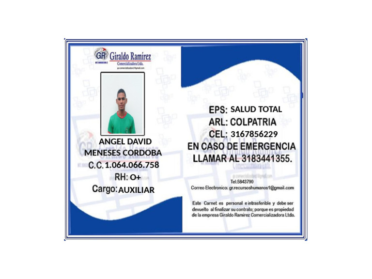 PLANTILLA DE CARNET EDITABLE | PDF