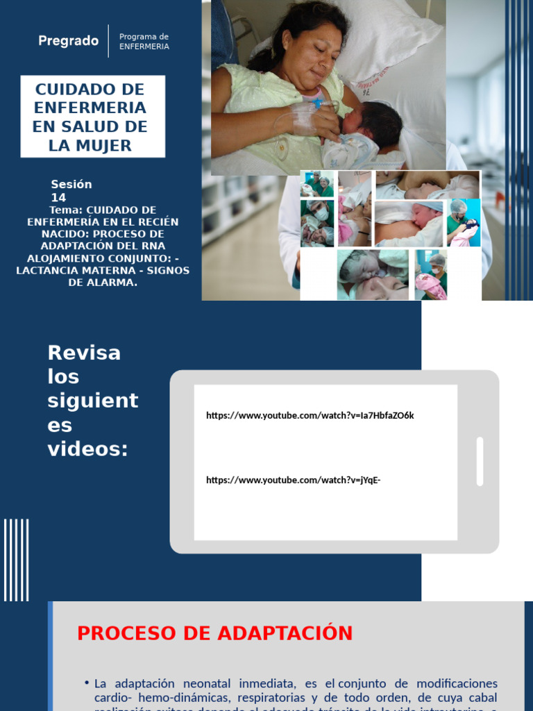 Sesión 14 | PDF