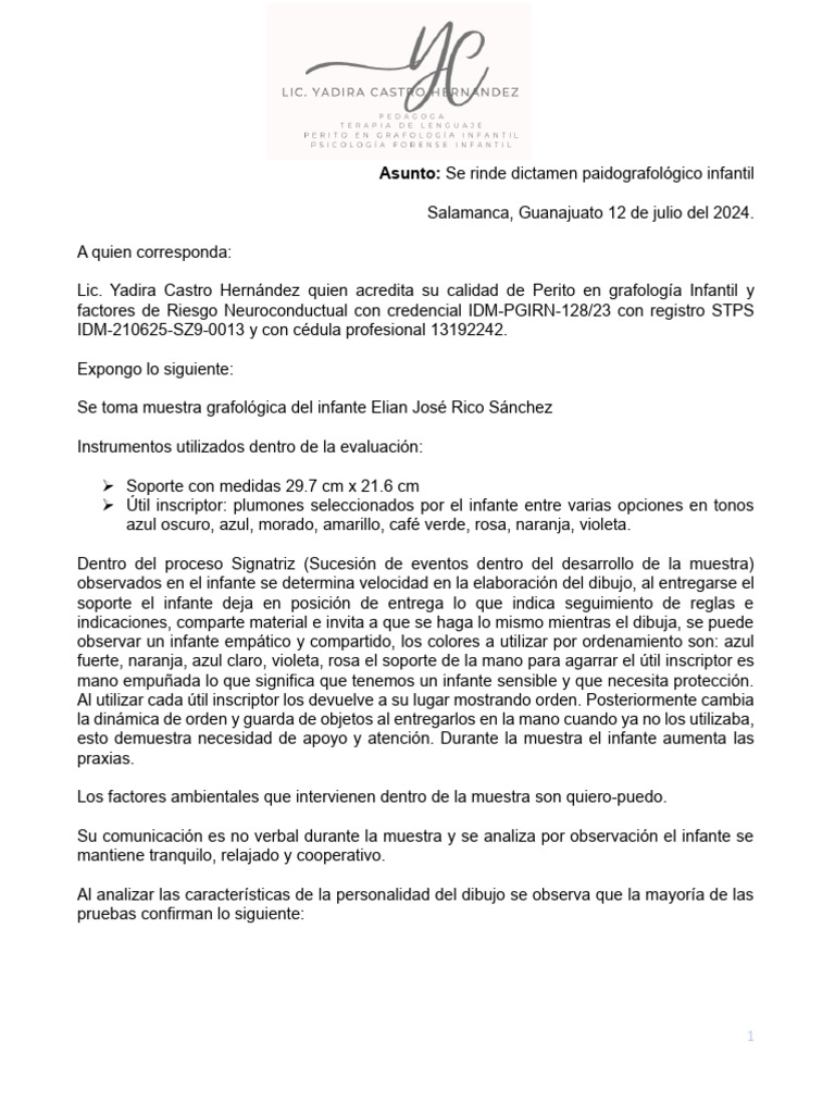 Peritaje de Elian José Rico Sánchez | PDF