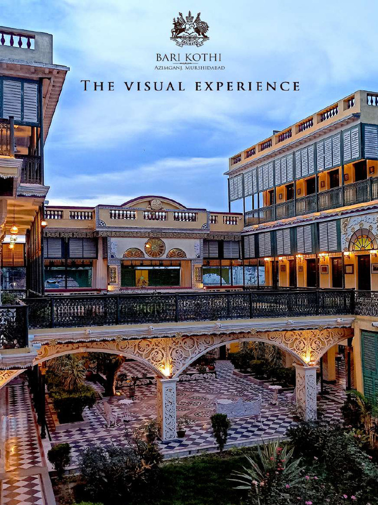 The Visual Experience | PDF