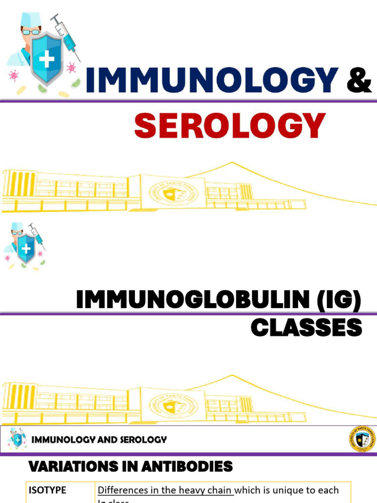 3 IG Classes and MABs | PDF
