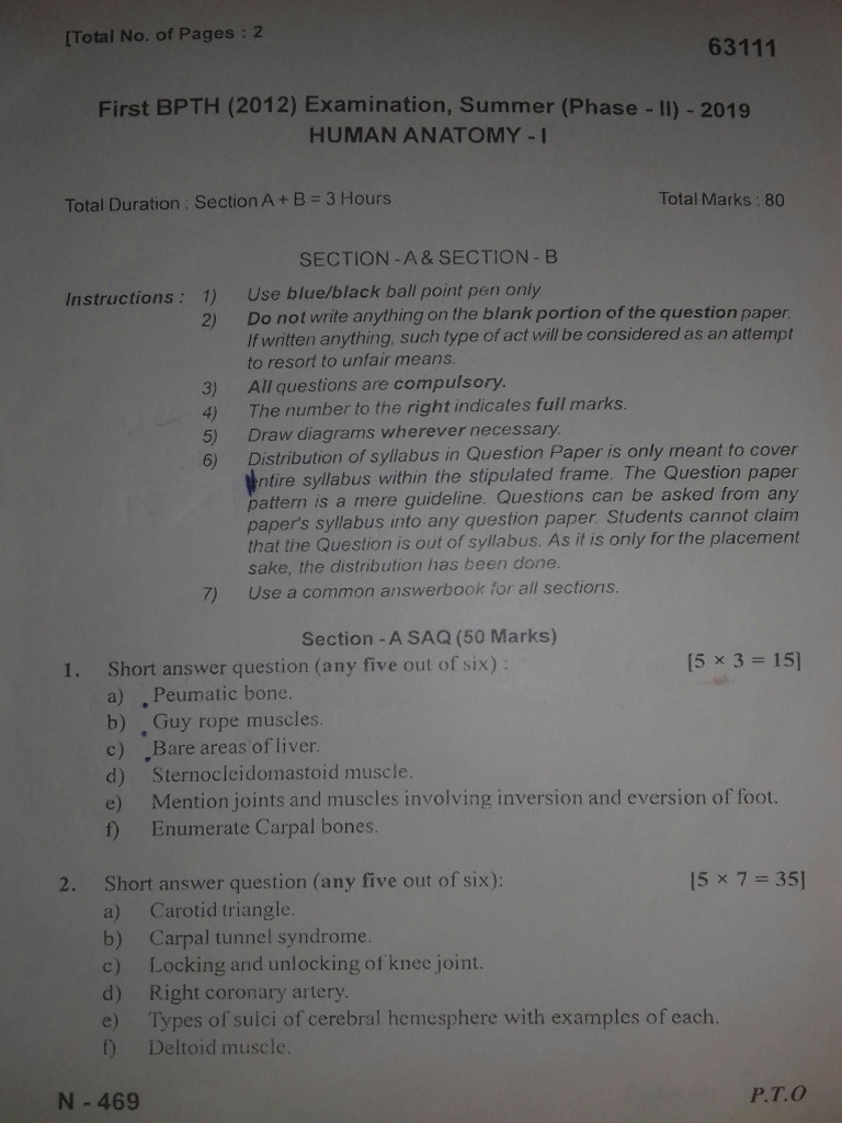 1st Year Anatomy Summer 2019 Paper | PDF
