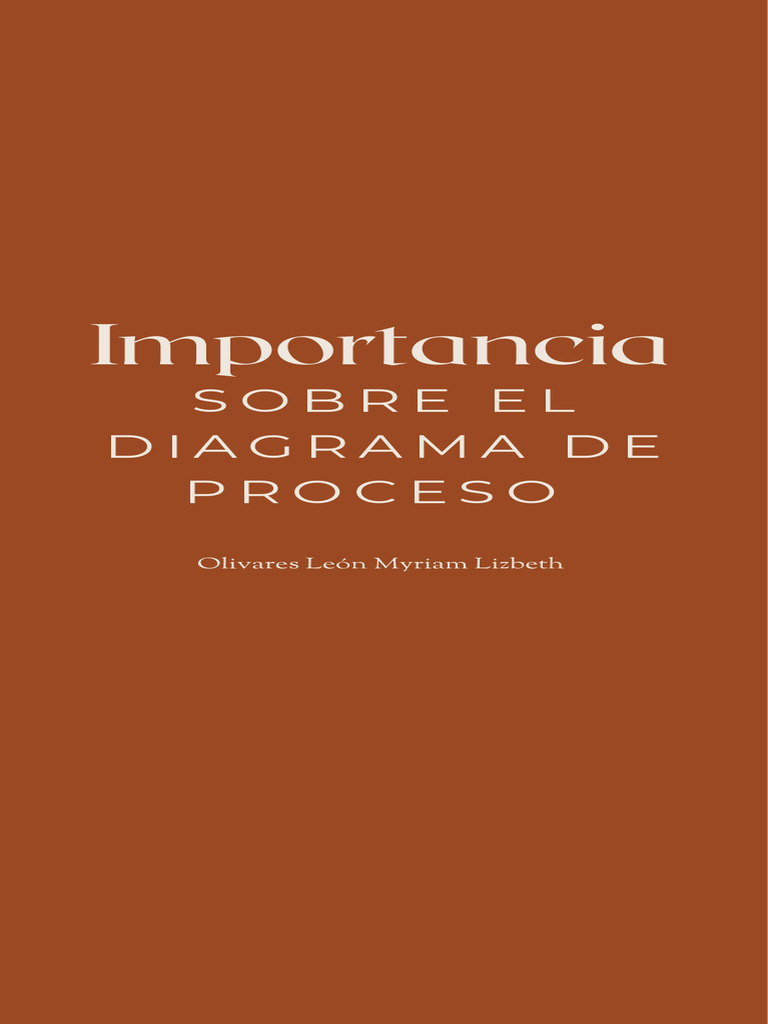 Importancia Sobre El Diagrama de Proceso | PDF