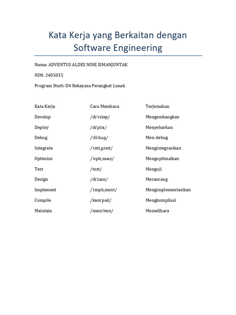 Software Engineering Vocabulary | PDF