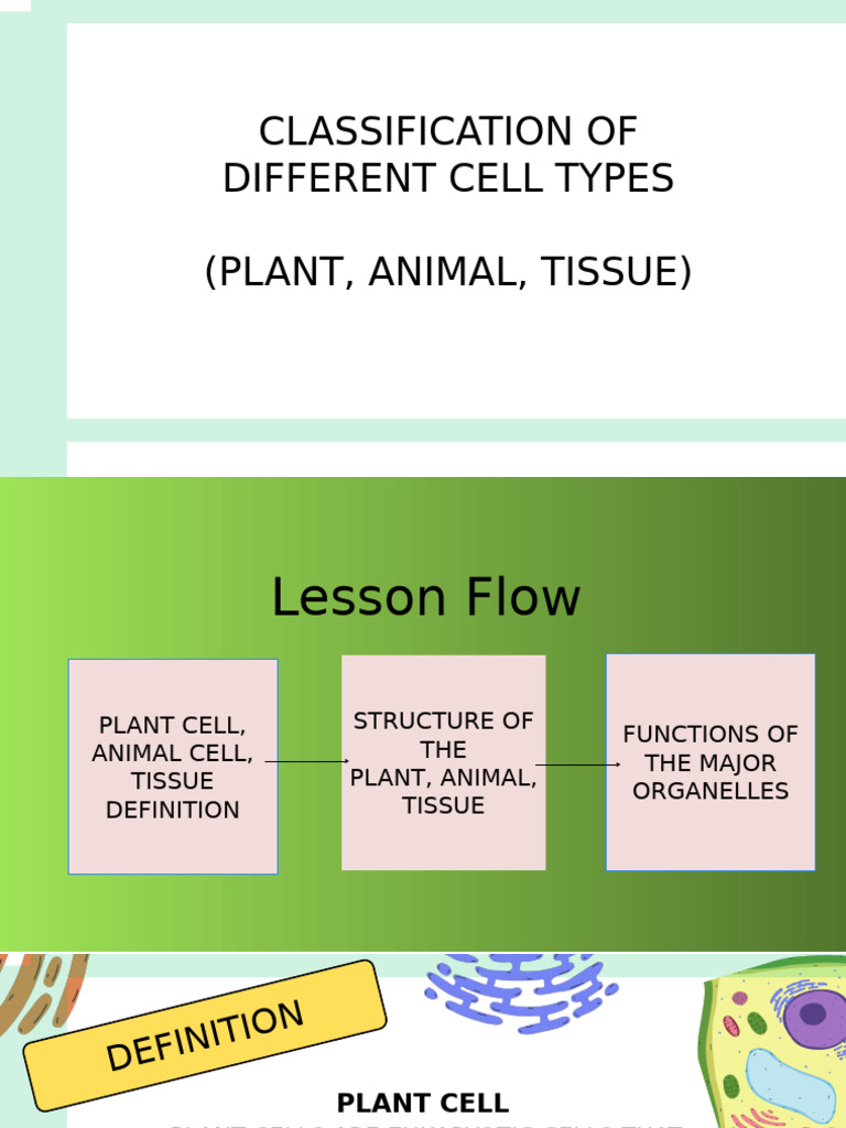 Plant Cell Structure Presentation in A Bold Green Yellow Style 3 1 ...