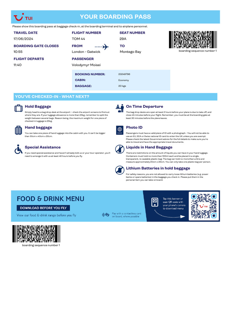 BoardingPass 23249796 | PDF