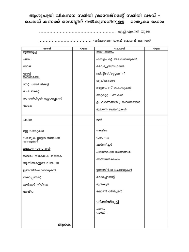 HMC Audit Proforma | PDF