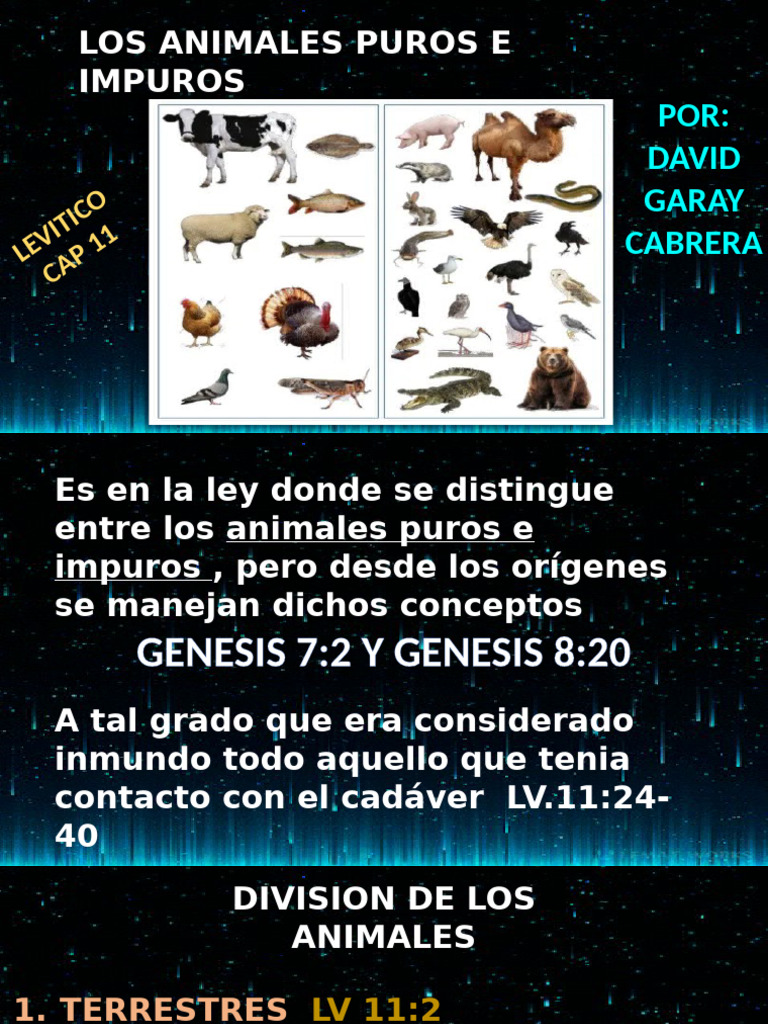 Los Animales Puros e Impuros DAVID GARAY | PDF