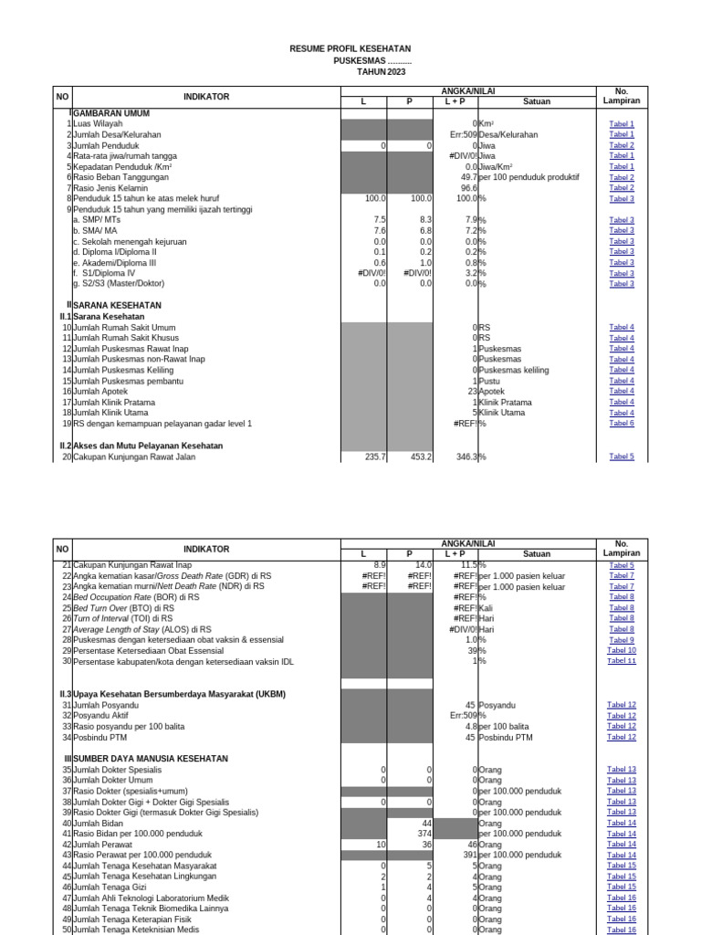 Format - Profil-Kes - 2023 - PKM Suralaga | PDF