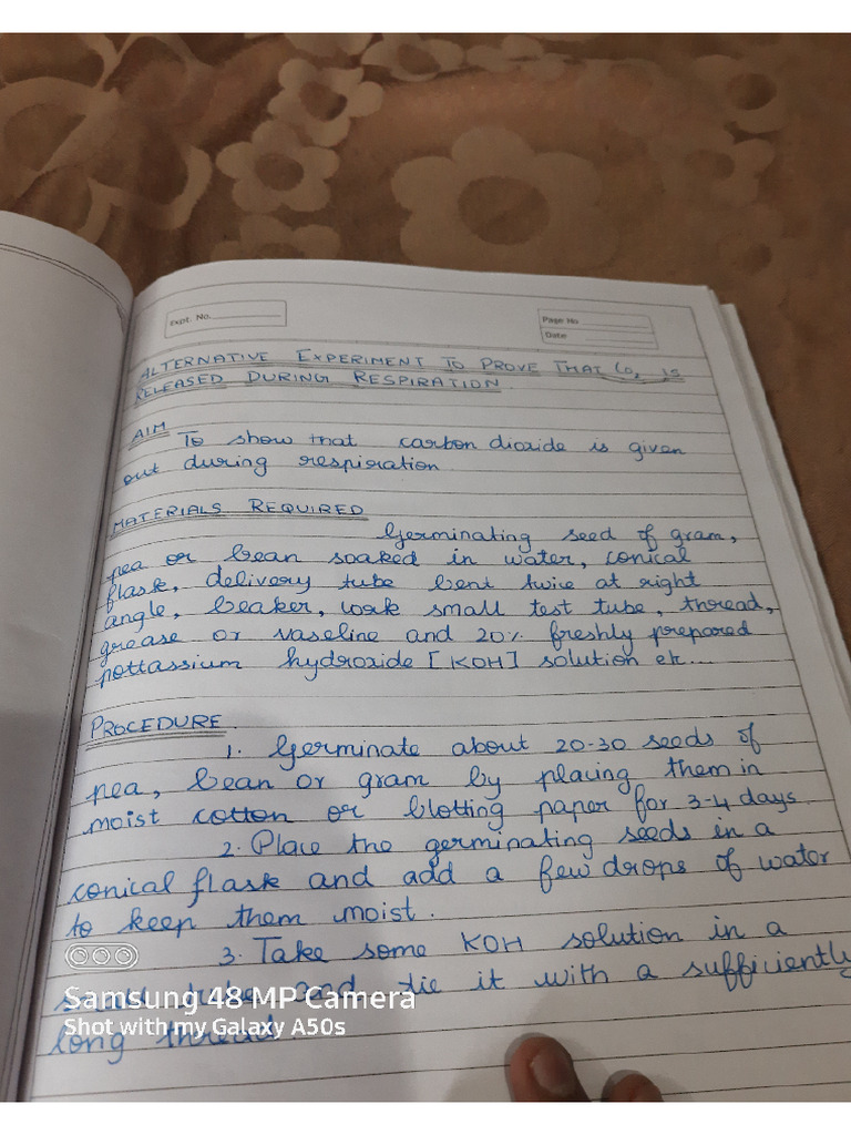 Bio Experiment 2a | PDF