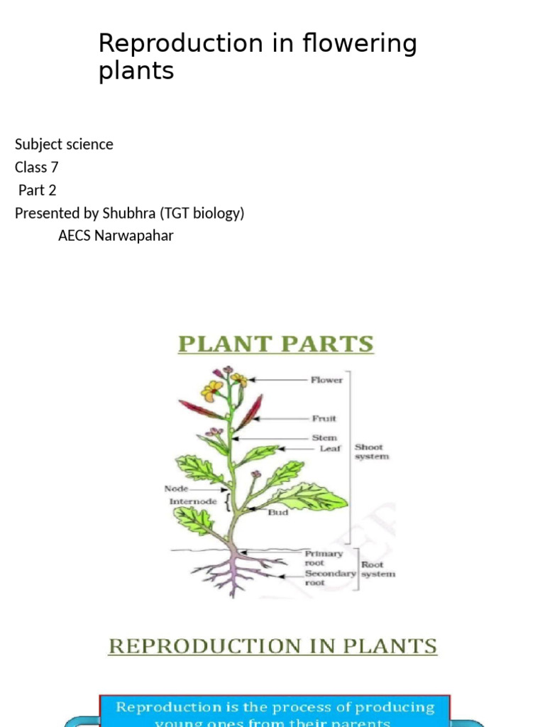 Flowering Plants Reproduction Guide | PDF