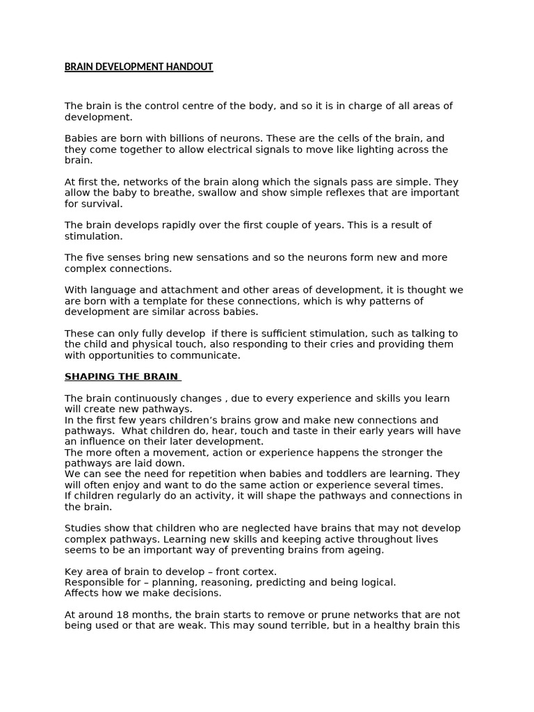 Brain Development Handout | PDF