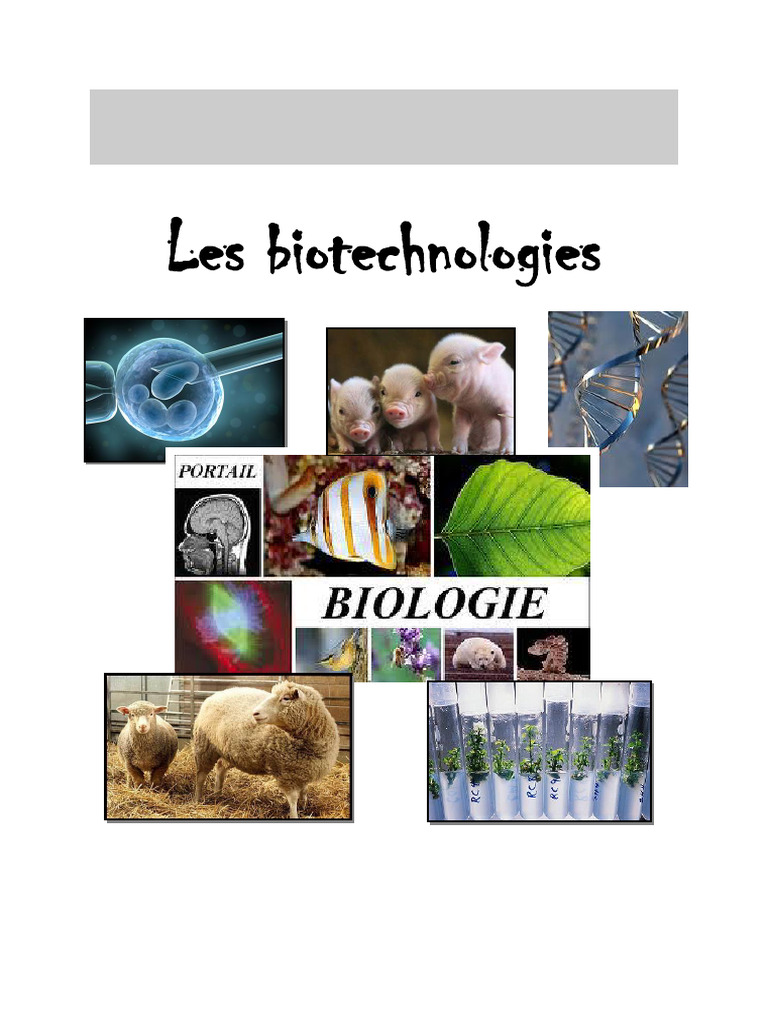 2023-2024 Os4-5 Biotechnologies | PDF
