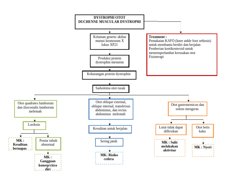 Pathway Distrofi Otot | PDF