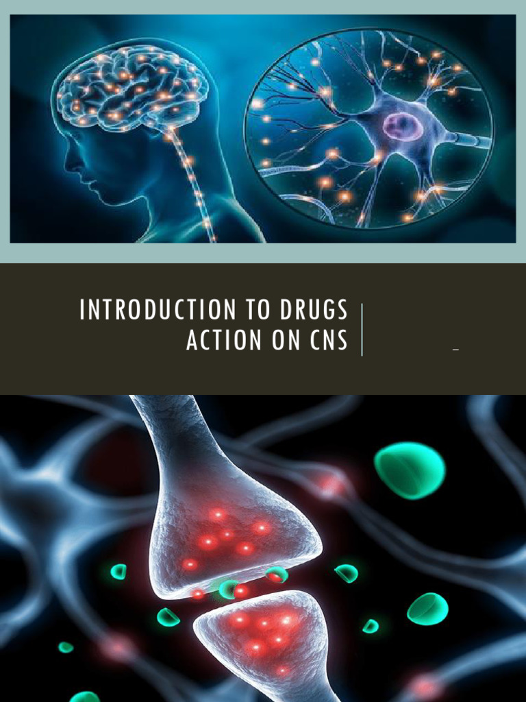 Lec 19 INTRODUCTION TO CNS | PDF