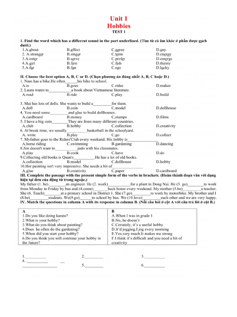 Unit 1- Hobbies | PDF