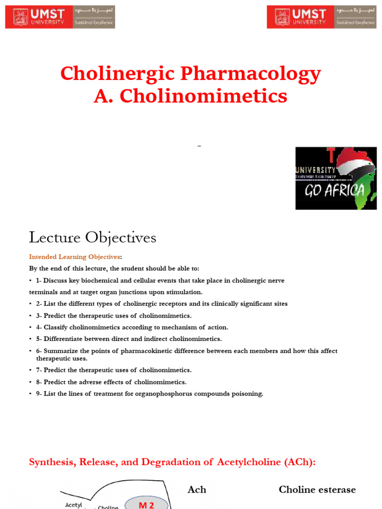 Lec 13 Cholinergic Pharmacology - A. Cholinomimetics | PDF