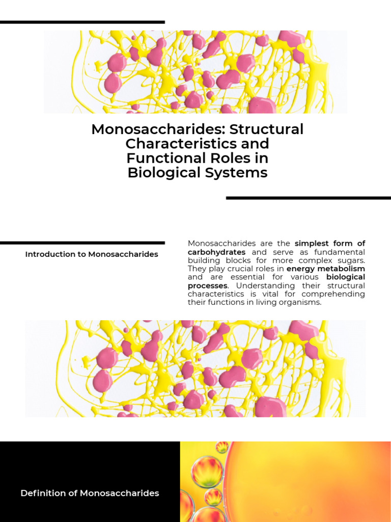 Monosaccharides: Structure and Functions | PDF | Carbohydrates | Metabolism