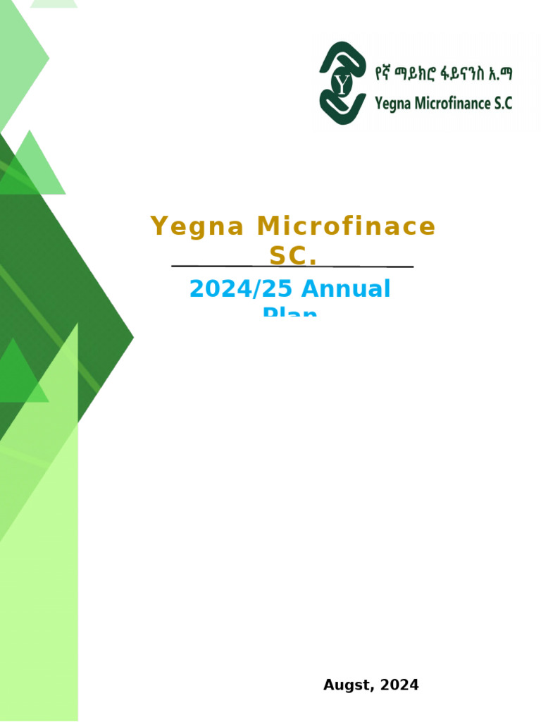 Final YMFI Annual Plan 2024-25 | PDF