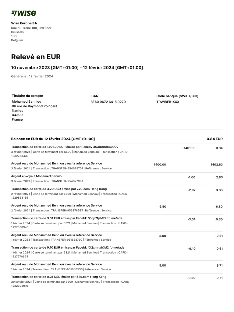 Balance Statement | PDF